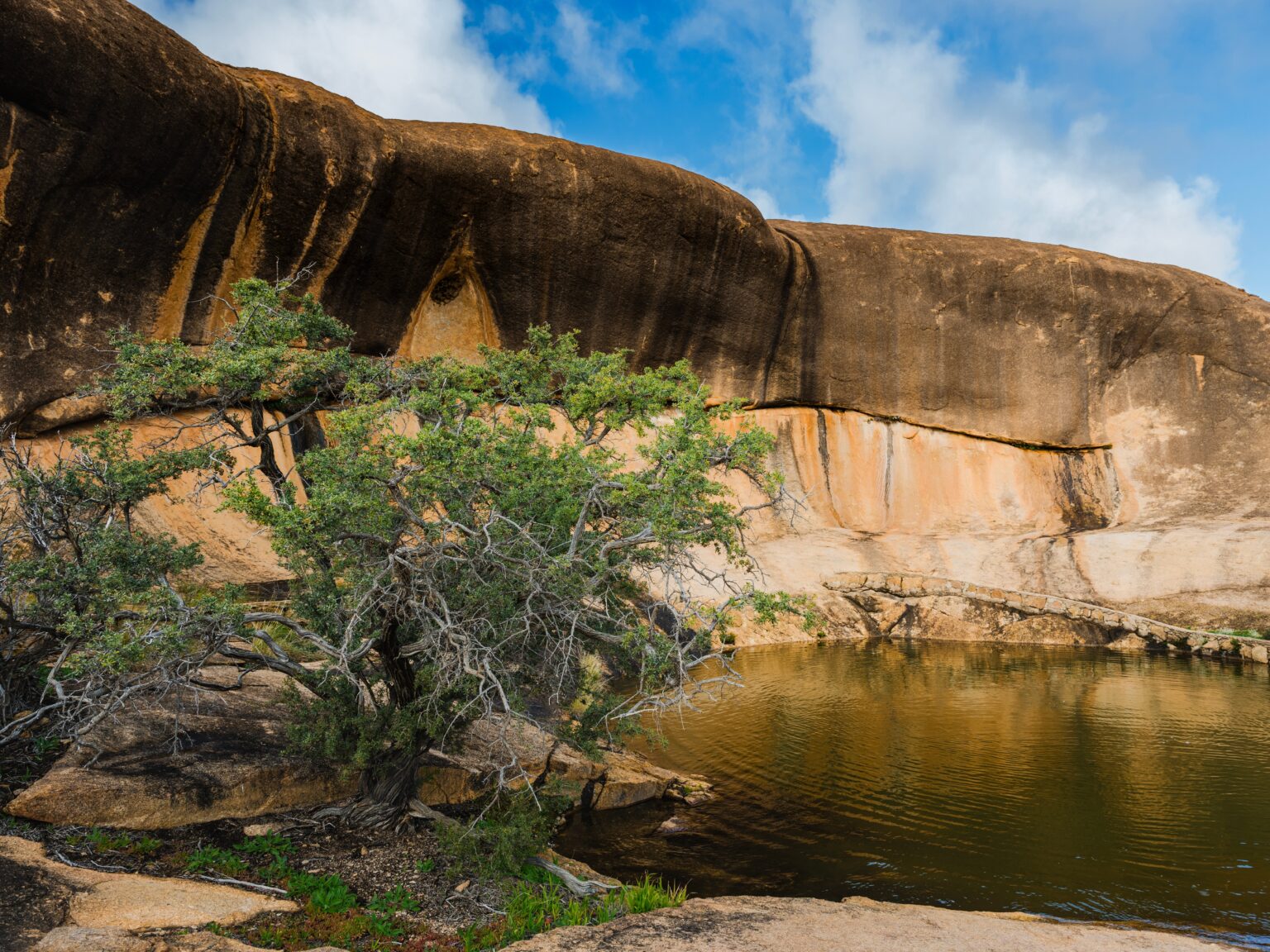 Our Staff - Wheatbelt Development Commission